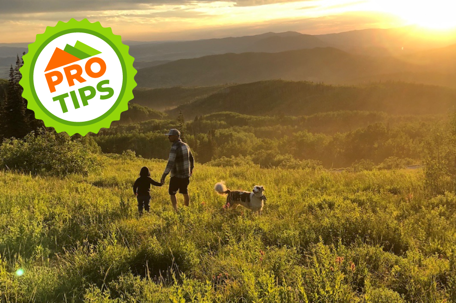 PRO-Tips #2: Forming Healthy Habits + Effective Goal Setting – PROBAR