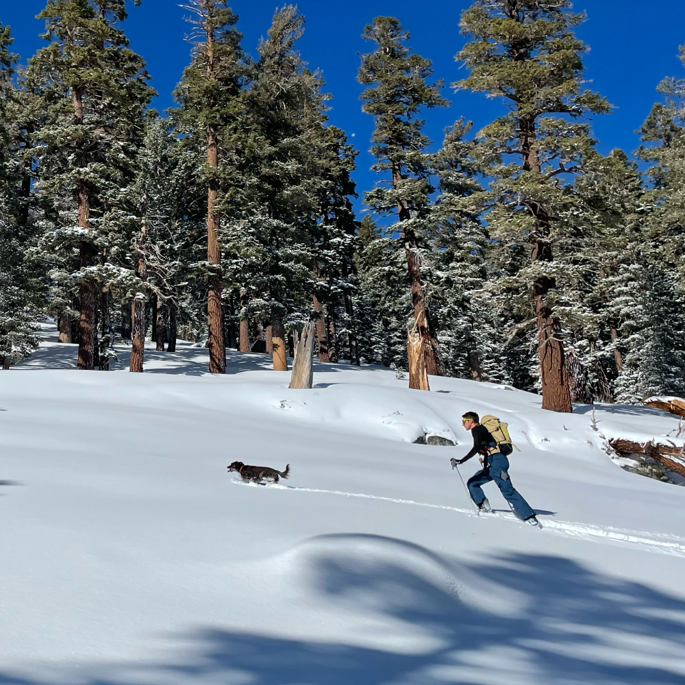 Perks Of Being Outside In The Cold Tips To Enjoy The Winter – PROBAR