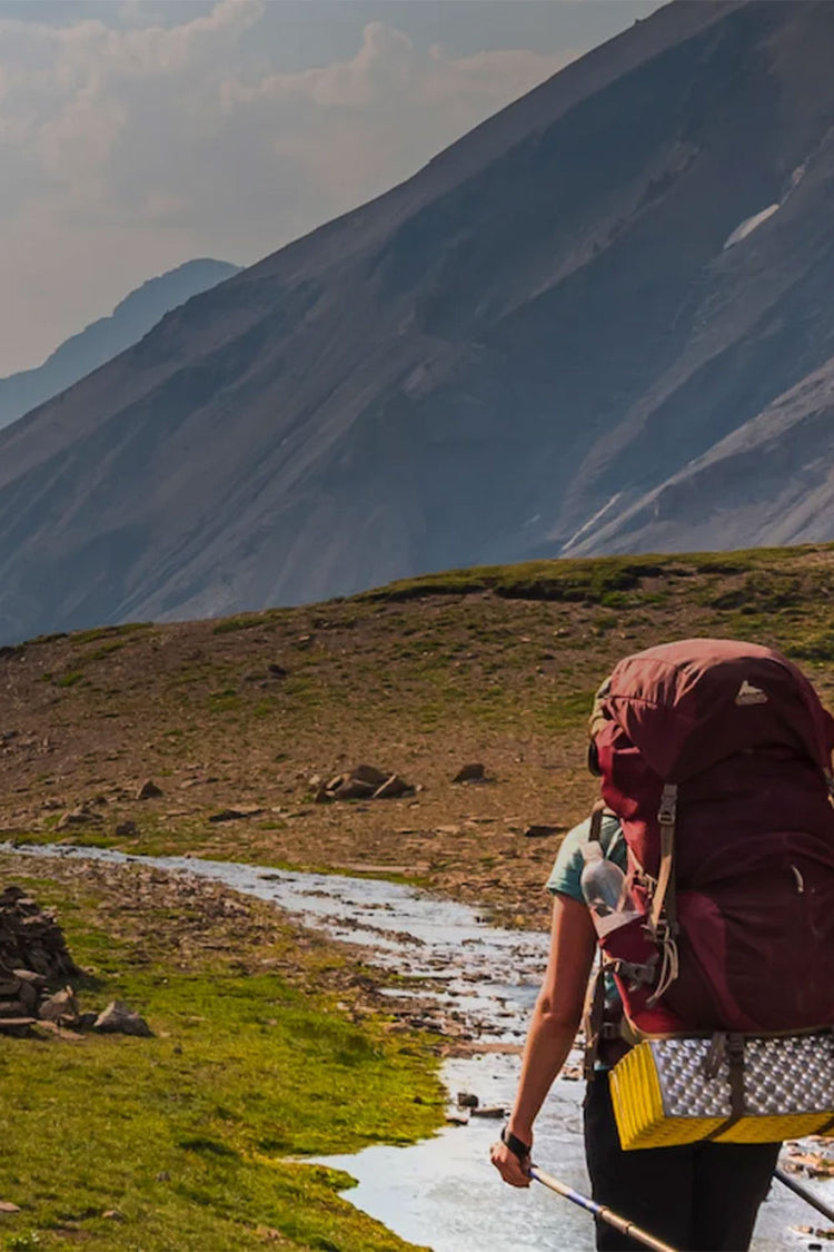 Collections – PROBAR